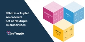 Understanding Tuples & Microservices | Nextuple